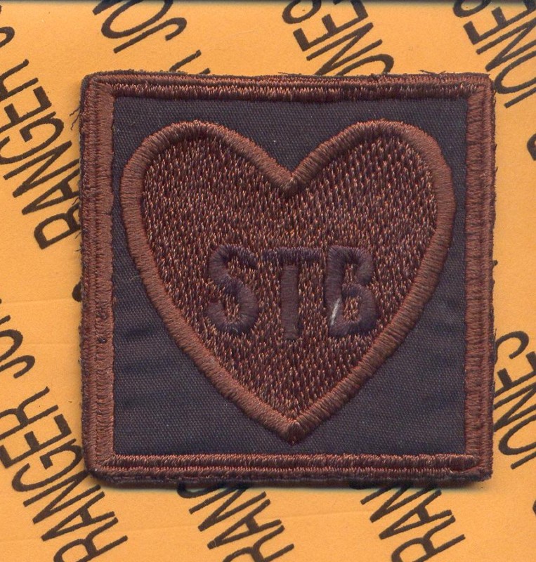 2nd STB 2-502 Inf 101 Airborne HCI Helmet patch A | eBay