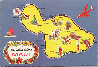 Illustrated Maui HI Map Lahaina Tiki Statue Airplane Sugar Cane Flowers ...