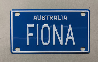 FIONA Novelty Mini Number Plate | eBay Australia
