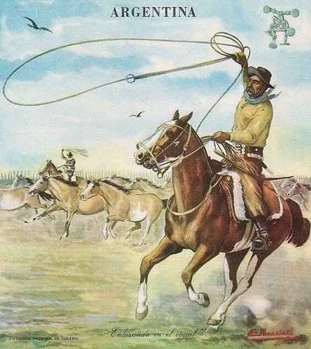 Rawhide Leather Braided Ranch Rope Lariat Lasso Reata. 4,6,8 Cords & 34 ...