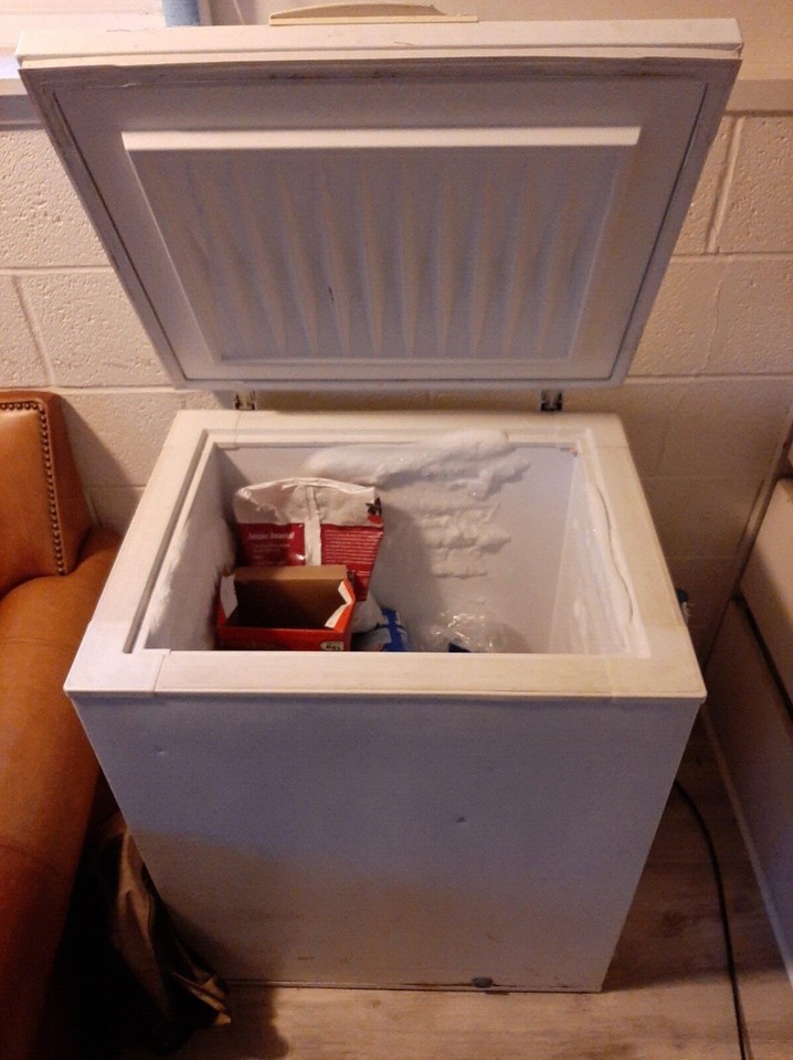 White Frigidaire Medium Sized Free Standing Commercial Freezer | eBay