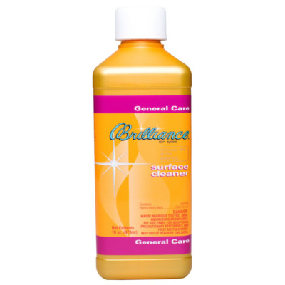 Brilliance Surface Cleaner - 40751 | eBay