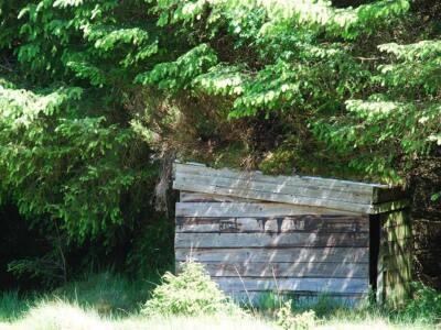 Photo 6x4 Shooting hide Ormsary/NR7472 A typical example of the South ...