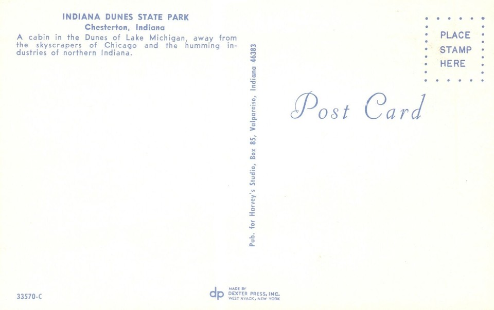 Vintage Postcard Indiana Dunes State Park Chesterton Indiana IND | eBay