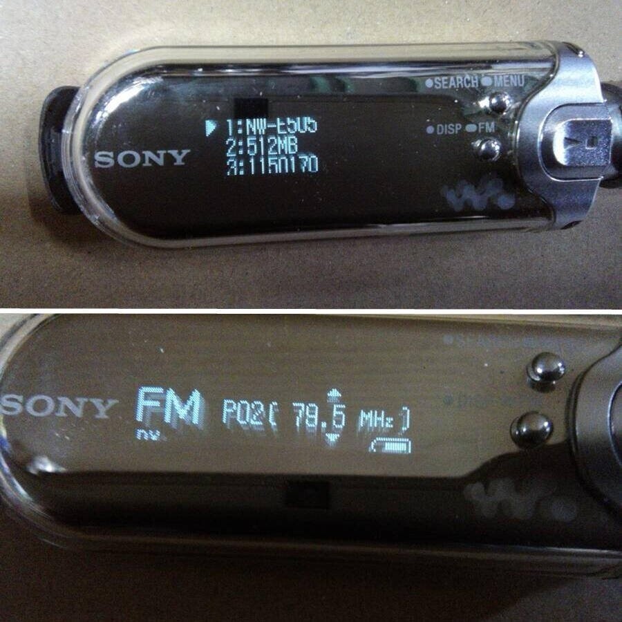 Sony Walkman NW-E505 512MB MP3 Player FM Turner Tested Working Very ...