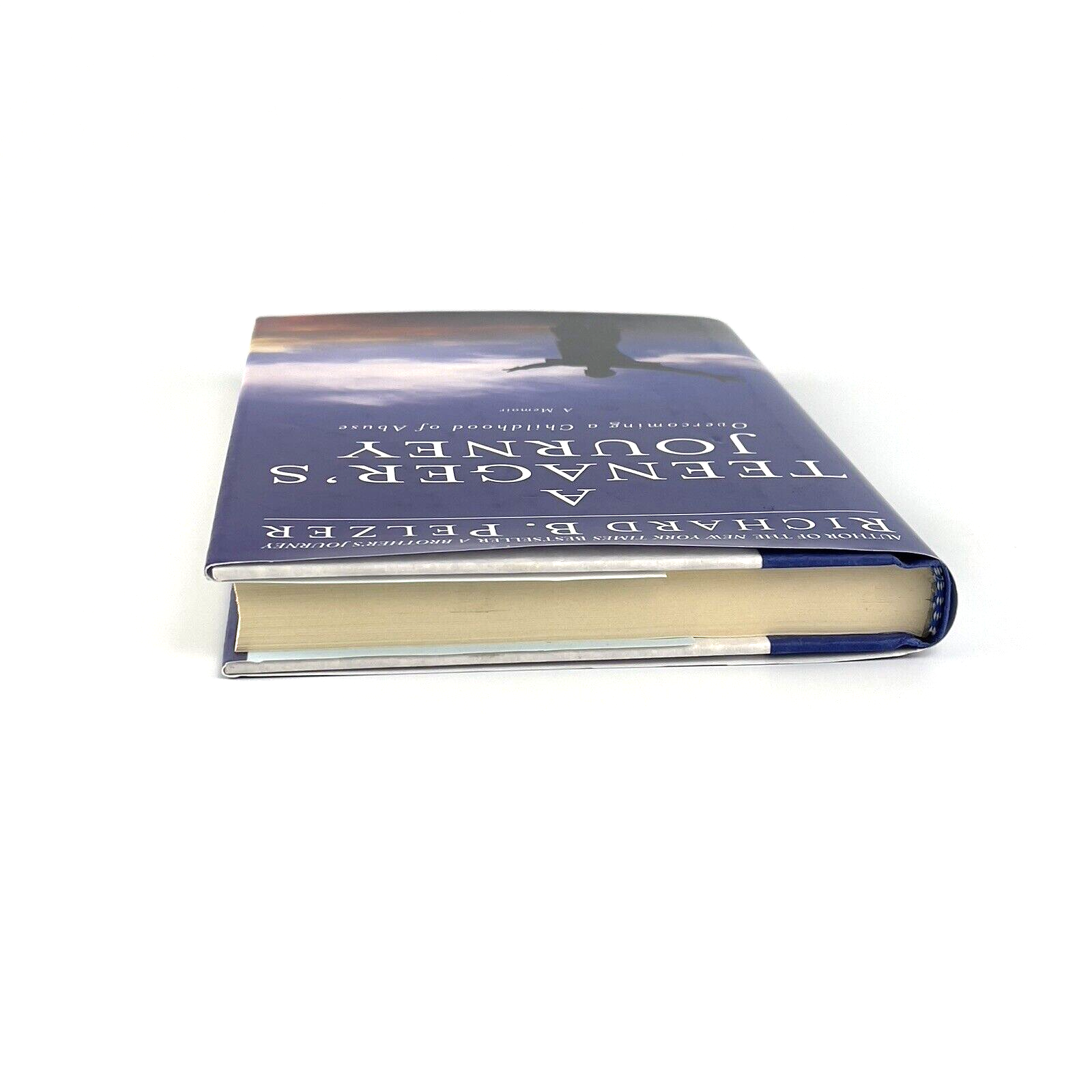 A Teenager's Journey Overcoming a Childhood of Abuse A Memoir Richard B ...