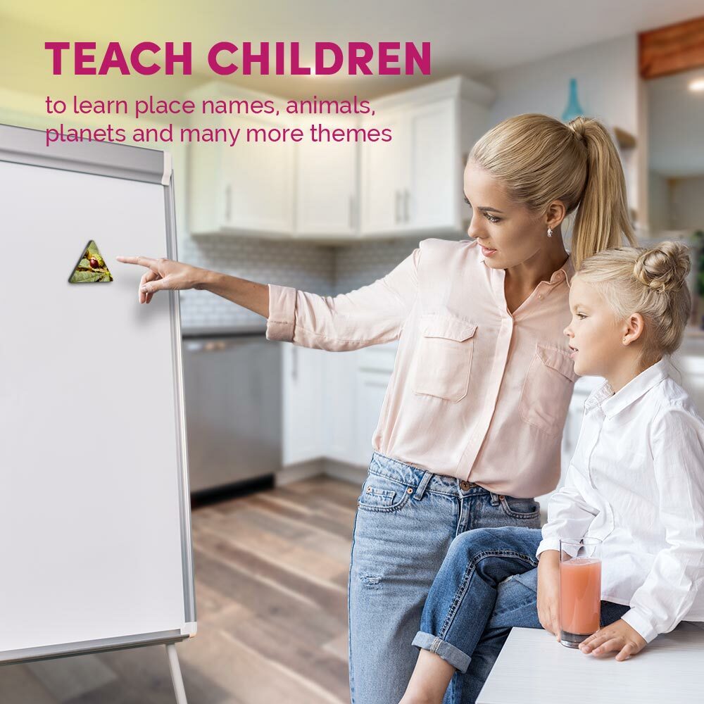 Triangle MDF Magnets - Conker Horse Chestnut Tree #2137 | eBay Australia