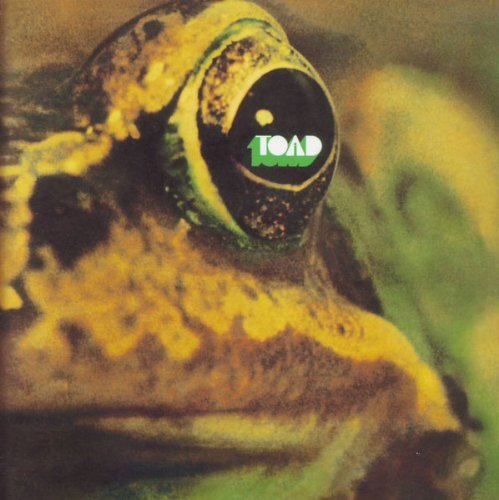 TOAD - Toad + 1 Bonus Track - CD - **Mint Condition** - RARE | eBay