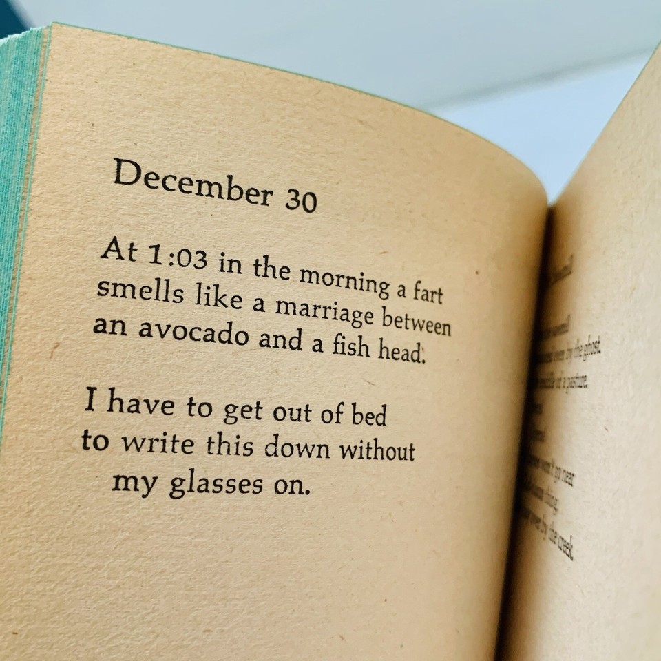 The Pill Versus the Springhill Mine Disaster by R. Brautigan VTG ...