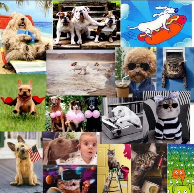 Avanti Greeting Cards, Birthday, Be Well, Congrats, etc | eBay