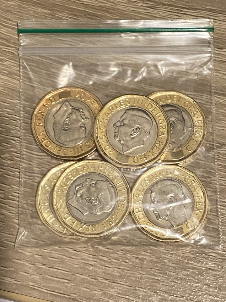 Rare 2025 £1 Bee Coin (rose gold) Coloured Error Coin Off Centred +6 ...