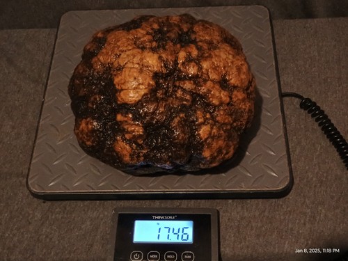 Beautiful 17 lb Unopened Fossilized indiana Geode Crystal | eBay