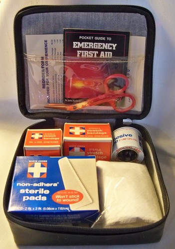 LEXUS FIRST AID KIT in ZIPPERED POUCH GLOVE BOX SIZE VINTAGE | eBay