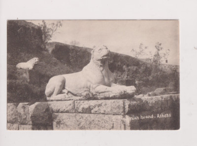 Postcard Greece Statue Of Molossian Hound Athens Divded Back | eBay