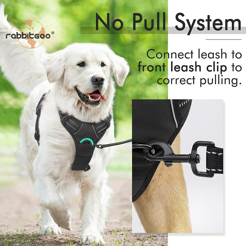 rabbitgoo Dog Harness No-Pull with 2 Leash Clips Adjustable Pet Vest ...