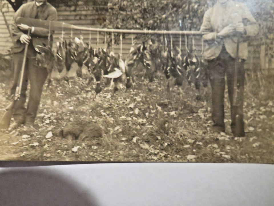 VINTAGE ORIGINAL RPPC 1907-1915 DUCK HUNTERS HUNTING GAME CATCH ON OAR ...