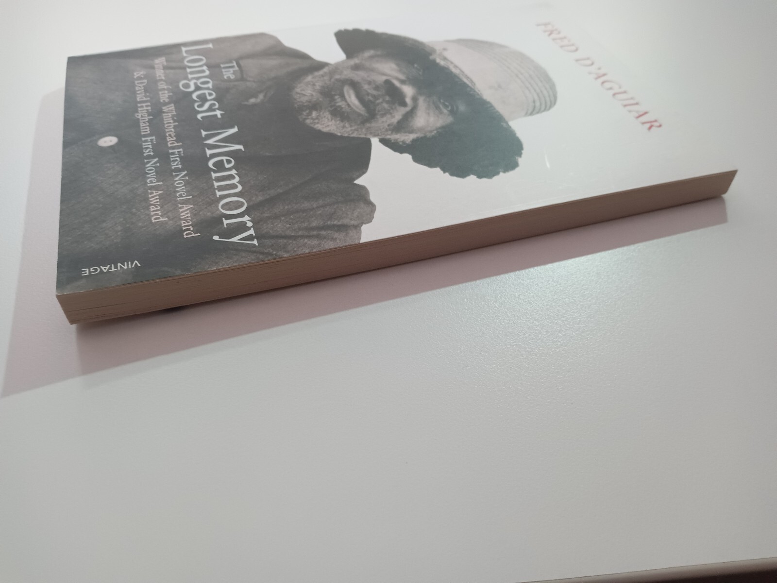 The Longest Memory Fred D'aguiar (Paperback, 1995) 9780099462217 | eBay