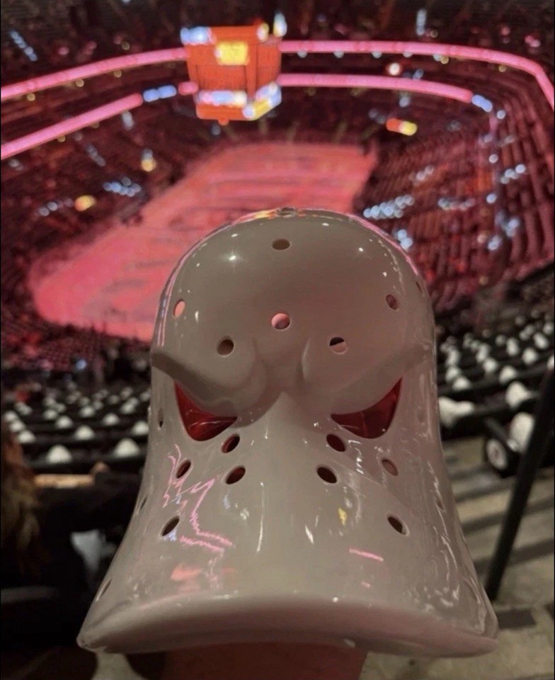 Anaheim Mighty Ducks NHL Hockey Goalie Mask Mascot Wild Wing 2025 | eBay