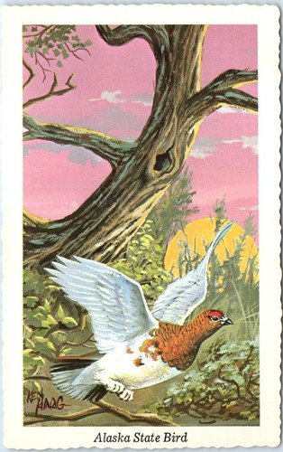 Postcard - Willow Ptarmigan, Alaska State Bird - Alaska | eBay