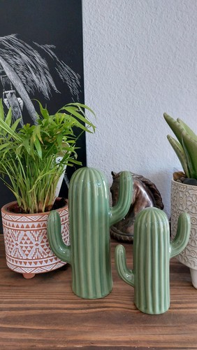 Green Ceramic Cactus Decor Set Boho Farmhouse Southwestern Decor Shelf ...