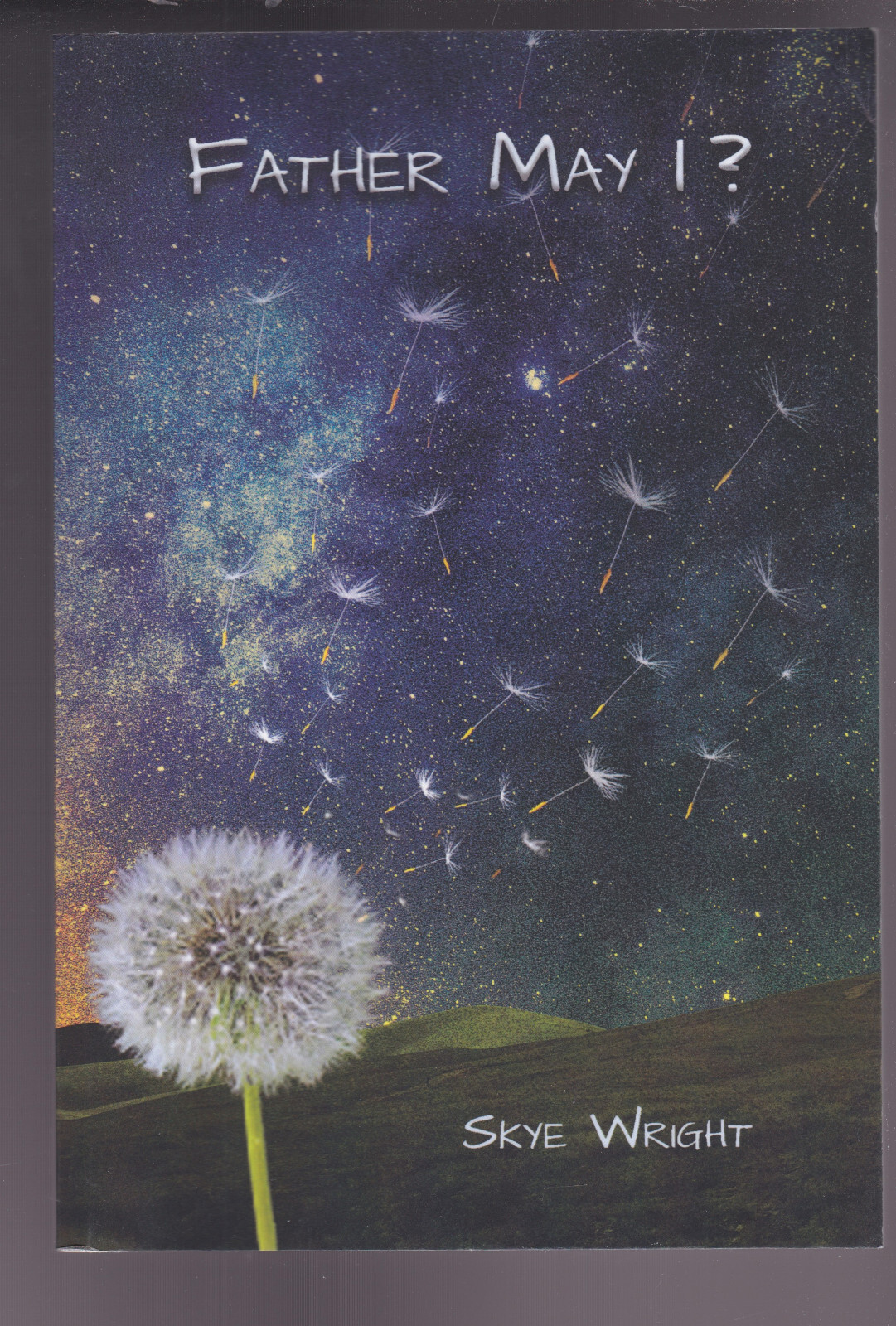 Father May I? by Skye Wright (2022, Trade Paperback) for sale online | eBay