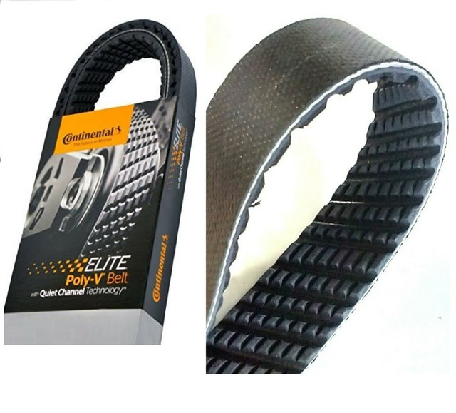 Serpentine Belt-Multi-V Continental Elite 4080720 for sale online | eBay