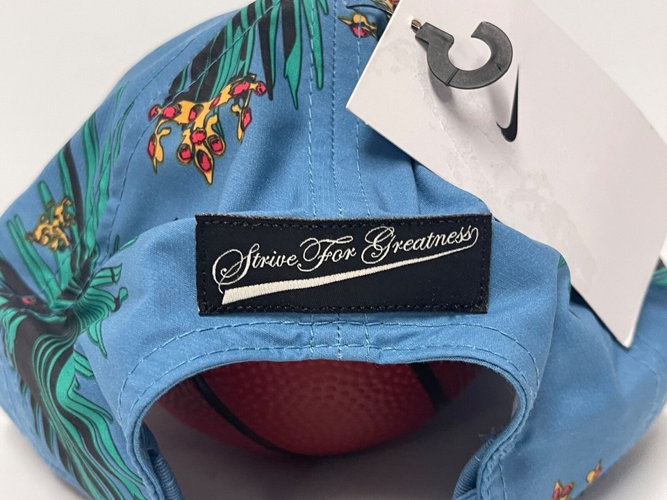 Nike Lebron James Heritage 86 Basketball Strapback Cap Hat (Blue/Green ...