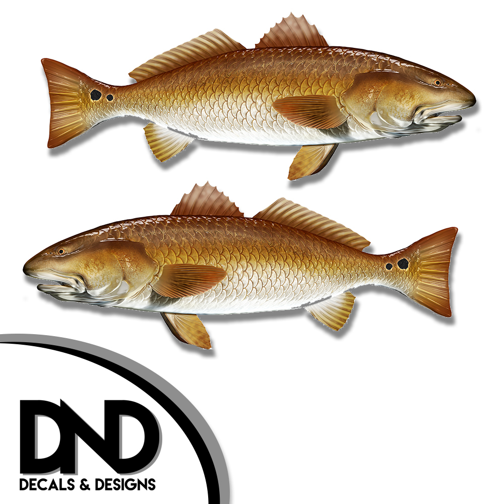 Redfish - Fish Decal Fishing Hunting Tackle Box Bumper Sticker "5in Set ...