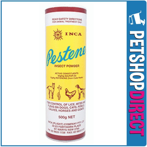 Inca Pestene Powder 500g | eBay