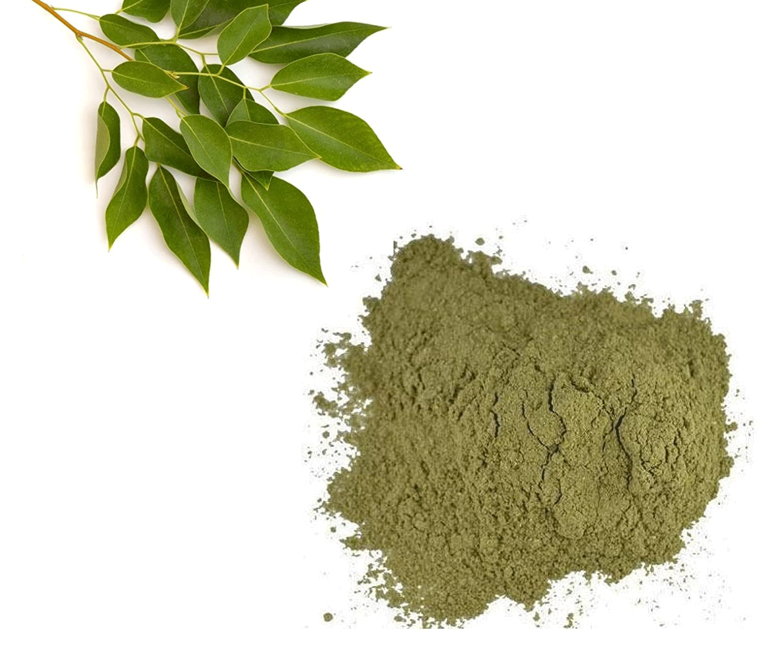 Shisham Leaves dry powder Sheesham Sisam Sissoo powder Dalbergia Sissoo ...