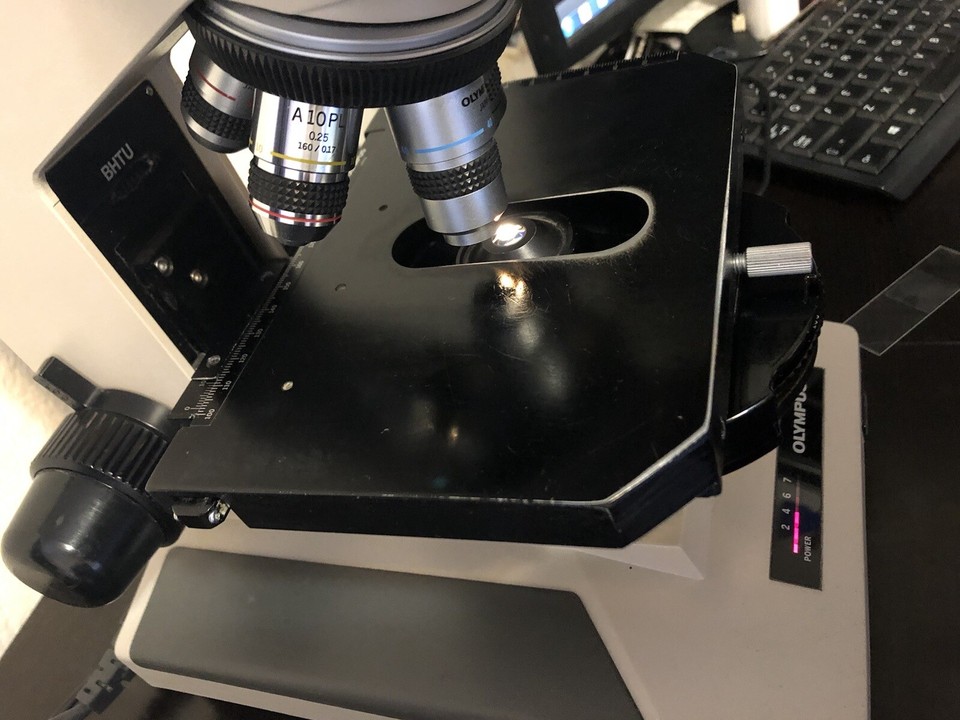 Olympus BH2 Phase Contrast Microscope 4 Obj 4x 10x Phase Light Source ...