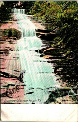 Postcard Ensenore Falls Near Auburn New York City | eBay