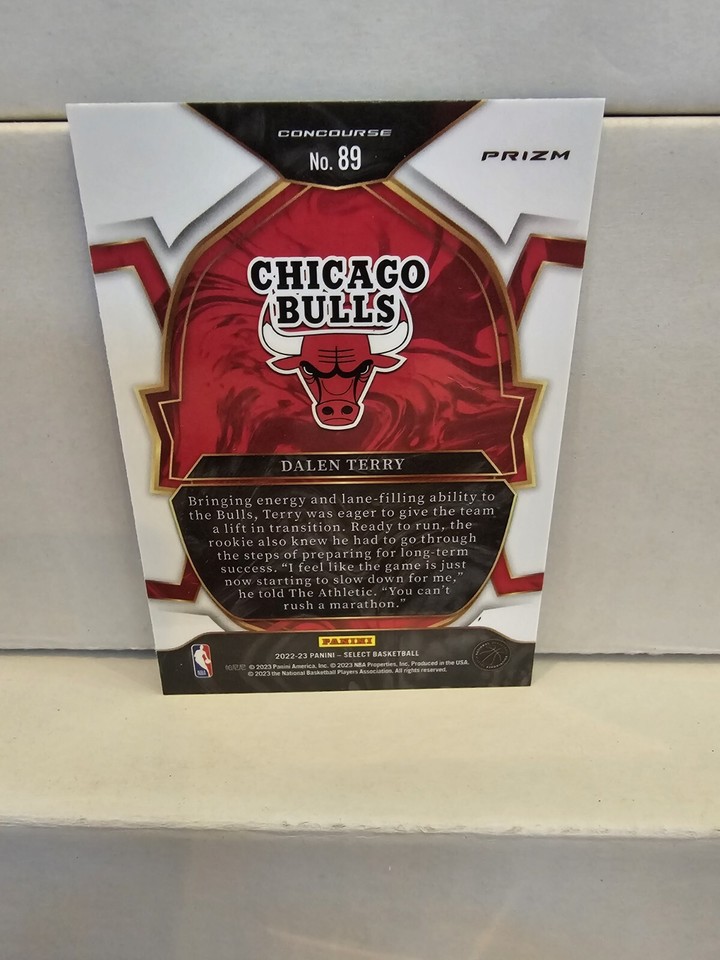 2022-23 Panini Select Dalen Terry Concourse Blue Prizm RC #89 Bulls | eBay