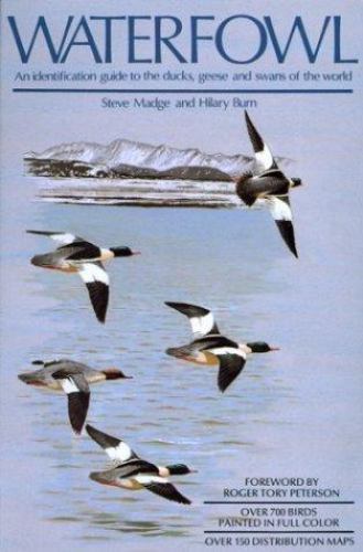 Waterfowl : An Identification Guide to the Ducks, Geese and Swans of ...