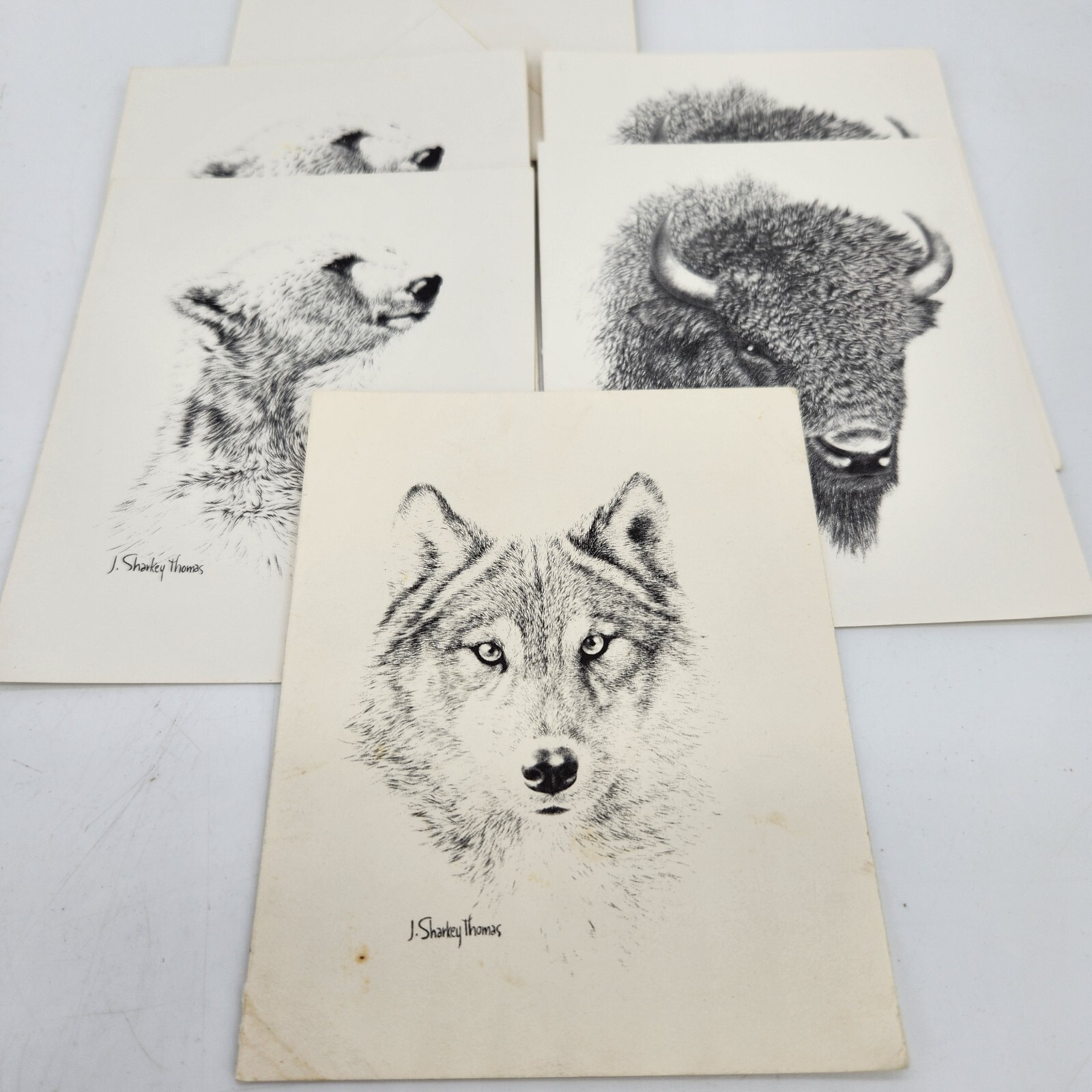 1973 J. Sharkey Thomas Artist Pepper House Notecards WOLF POLAR BEAR ...