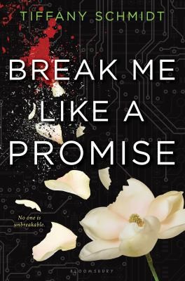 Break Me Like a Promise: Once Upon a Crime Family by Schmidt, Tiffany ...