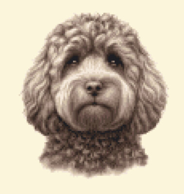 Brown COCKAPOO DOG - Full counted cross stitch kit by Jann Designs ...