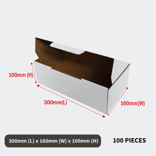 100 x Mailing Box 300 x 160 X 100mm Die Cut Shipping Packing Cardboard ...