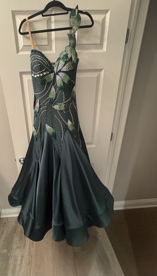 Handmade Dance Dress/Standard Ballroom Competition smooth Waltz Tango ...