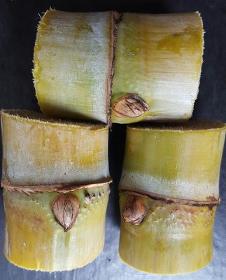 3 Cut sticks SUGAR CANE GREEN JUICING CHEWING ORGANIC PLANT | eBay