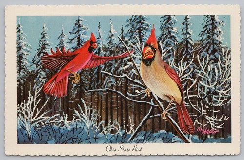 Artist Signed~Ken Haag~Cardinal~Ohio State Bird~Male & Female~Vintage ...