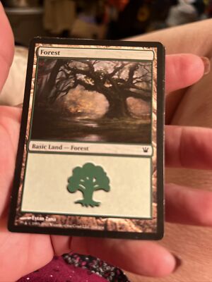 Magic The Gathering Trading card MTG Forest Basic Land 264/264 | eBay