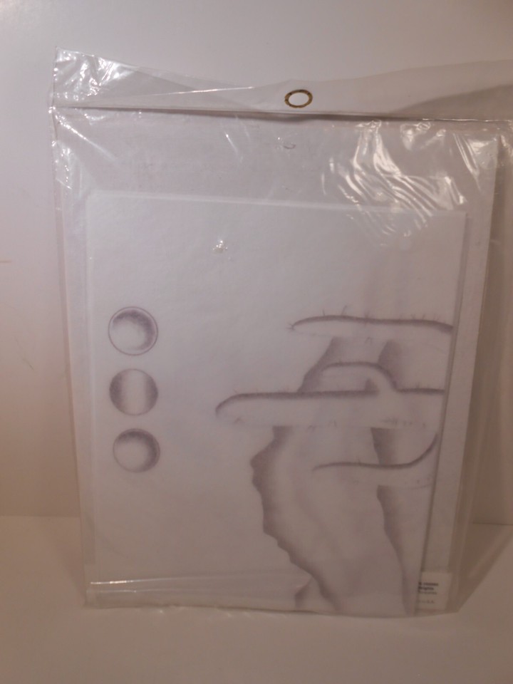 Vintage DIZZLE Pre Shaded Fashion Transfer Southwest Landscape Aztec ...