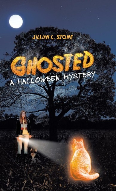 Ghosted von Jillian C. Stone (2020, Gebundene Ausgabe) online kaufen ...