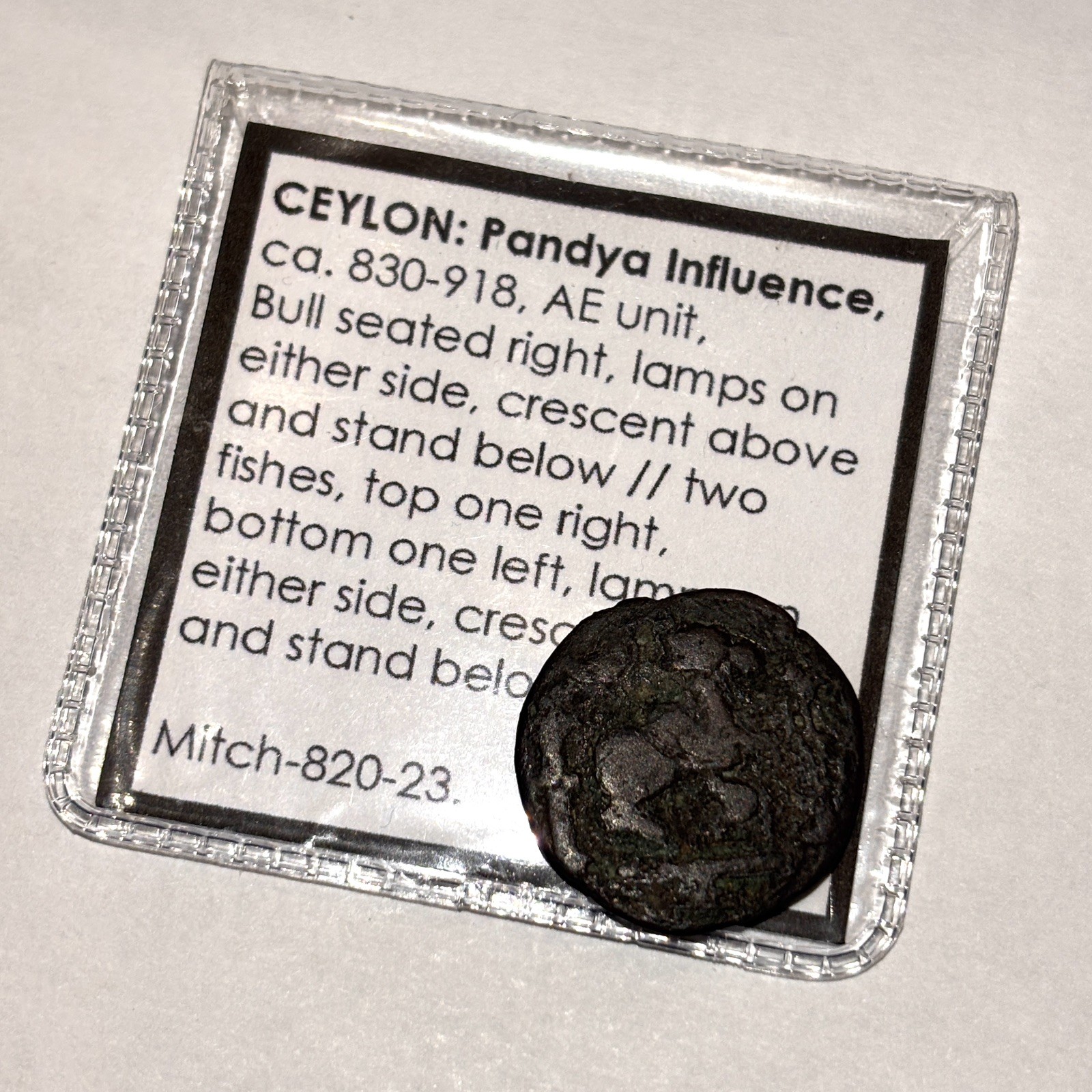 Ancient Ceylon Lanka - Bull and Fish Type Pandya Influence India Coin ...