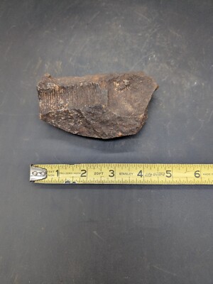 CIVIL WAR DUG RELIC SHELL EXPLODED ARTILLERY ORDNANCE Lawrence Pawl ...