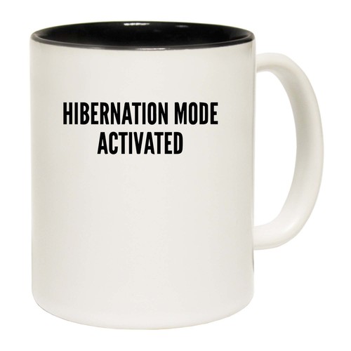 Hibernation Mode Activated - Funny Mugs Novelty Coffee Mug | eBay