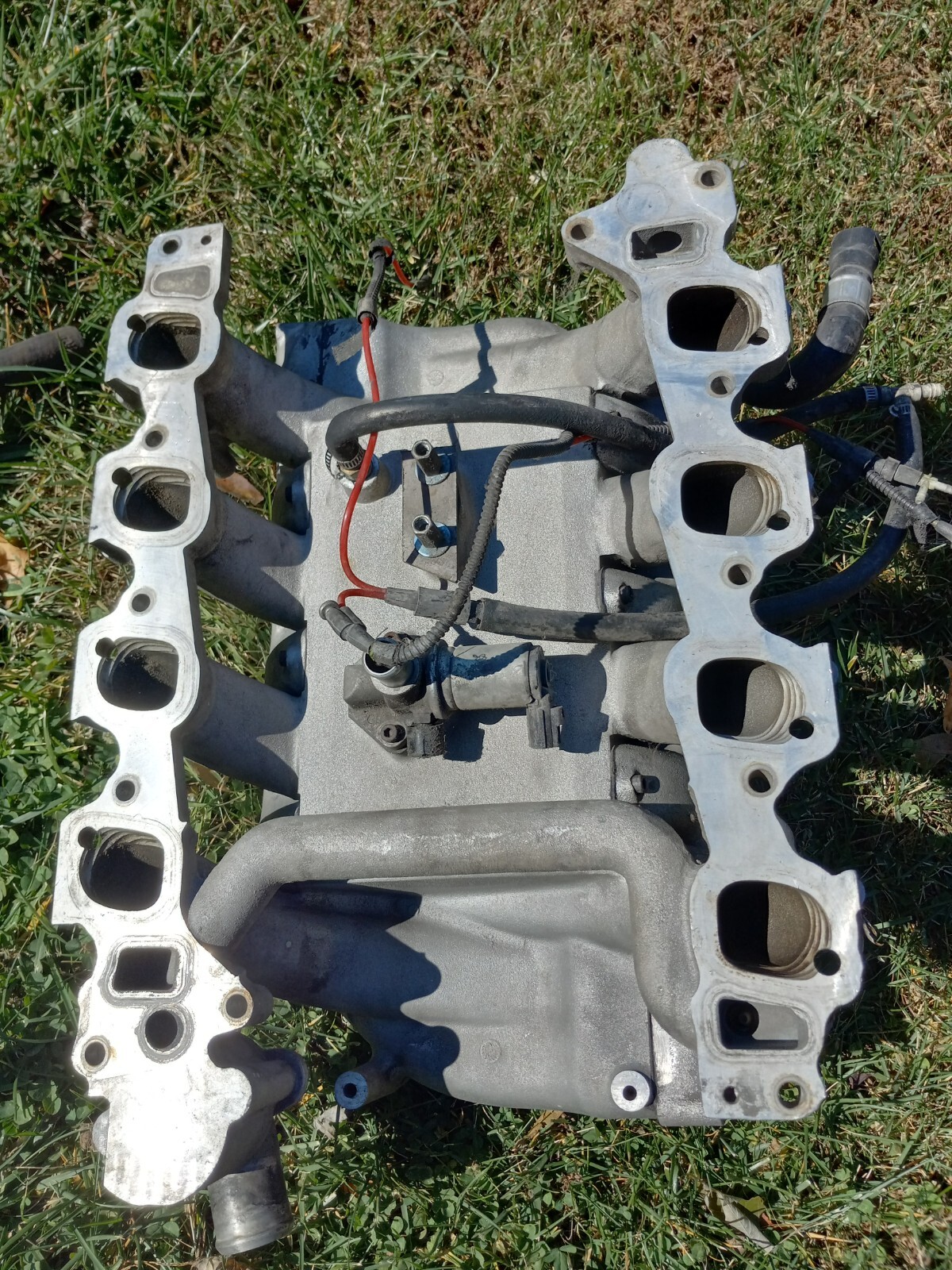 1999-2004 Ford Mustang 4.6L P51 Intake Manifold 2V GT Cobra Trickflow ...
