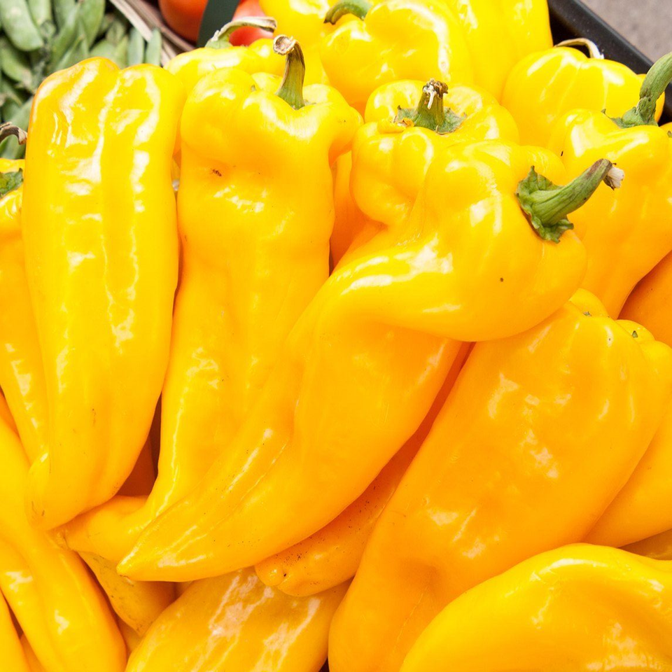Golden Marconi Sweet Pepper Seeds 50+ Vegetable Garden NON-GMO USA FREE ...