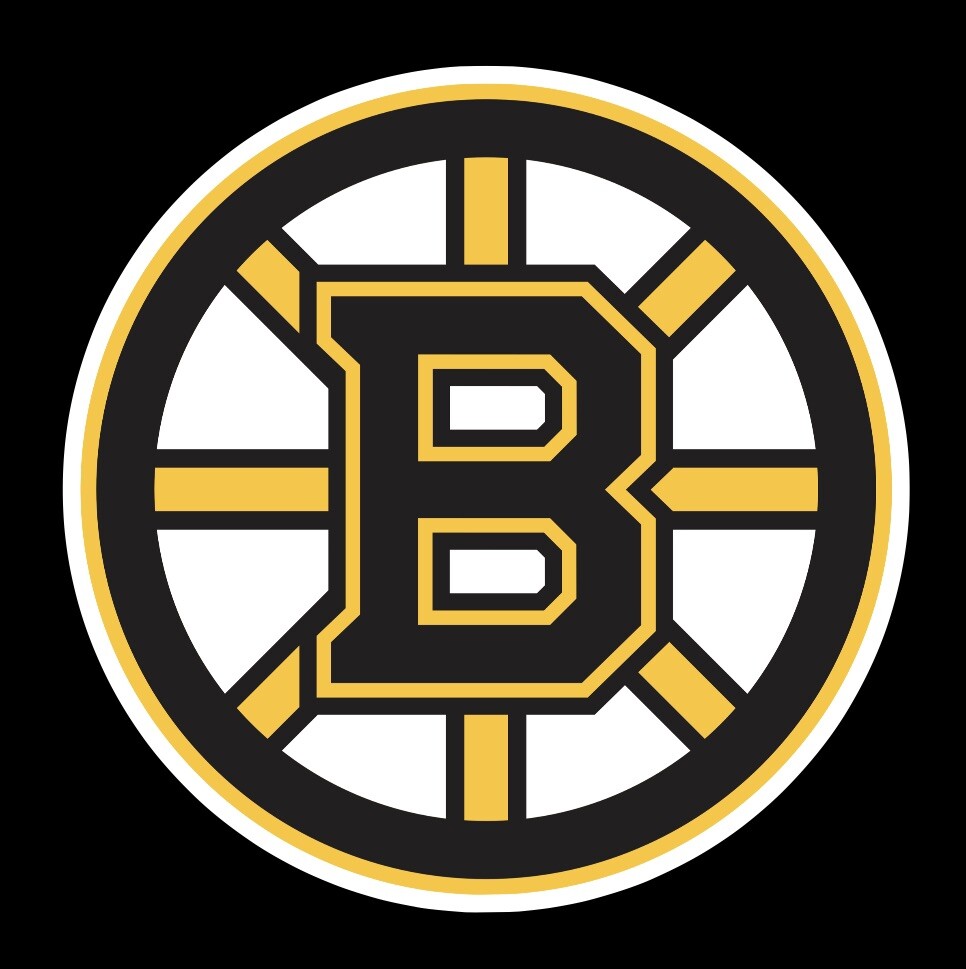 BOSTON BRUINS Logo Sticker Puck Stickers Car NHL Hockey Decal Ice Net ...